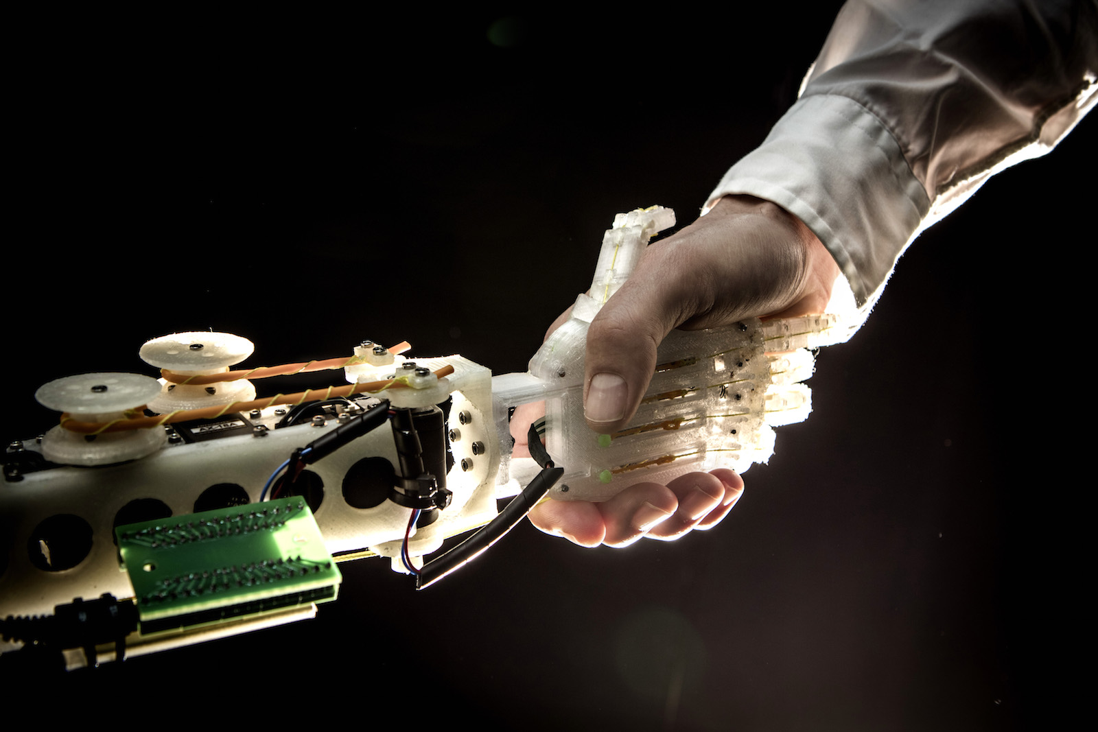 The GummiFactory - GummiFactory